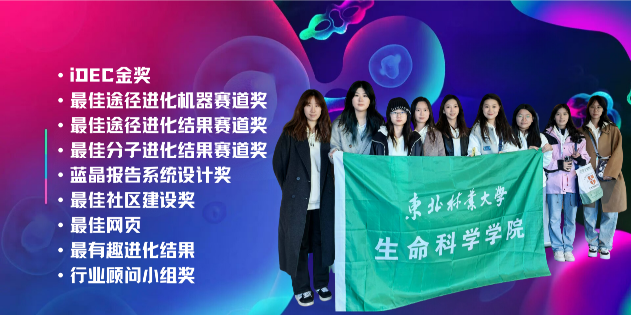 Eighth Consecutive Gold! NEFU_China Team Achieves New Milestones in Two ...